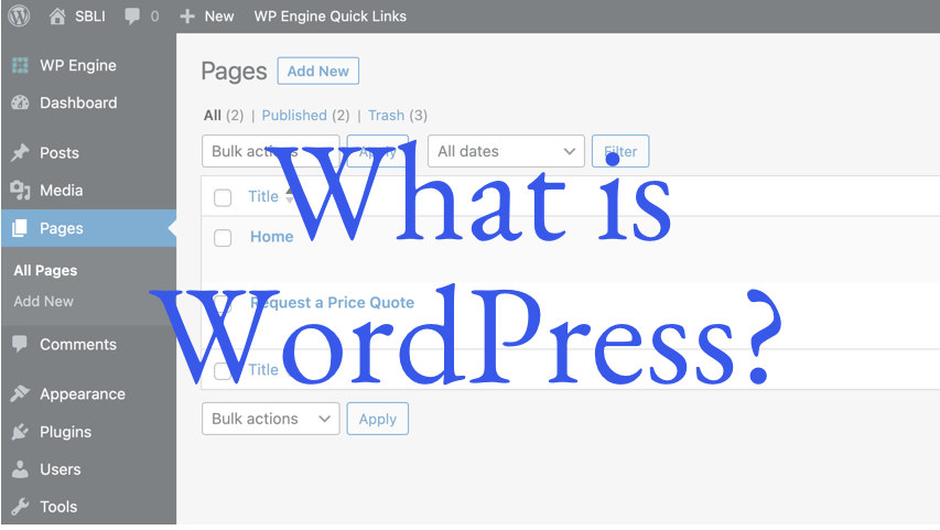Kevinleary.net: WordPress Explained for Business Owners